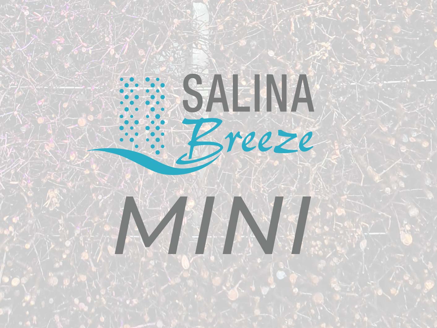 SALINA Breeze MINI - Salina Breeze